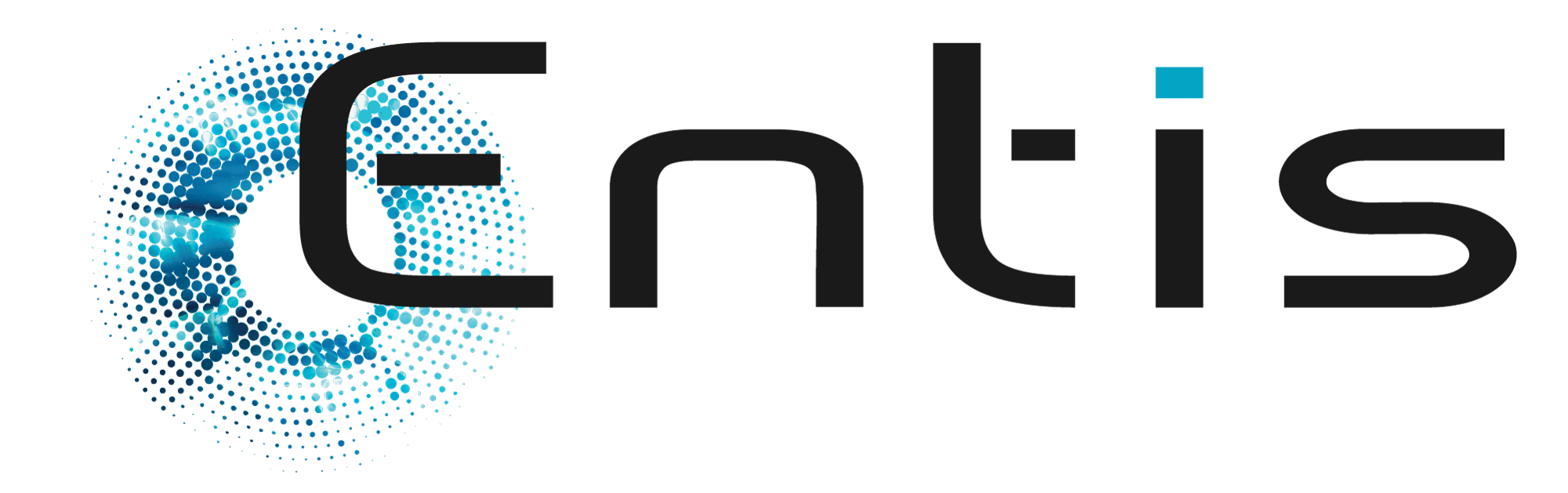 Entis - The Wealth Mosaic